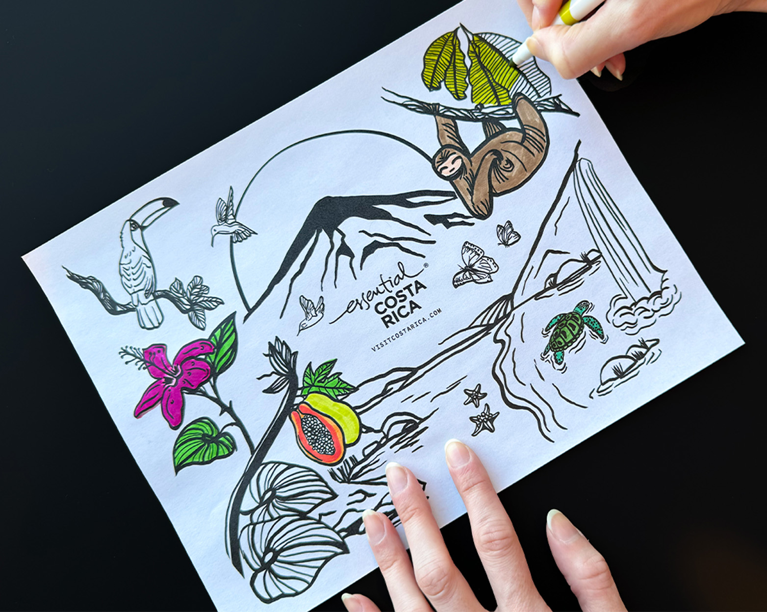 The Essentials of Costa Rica